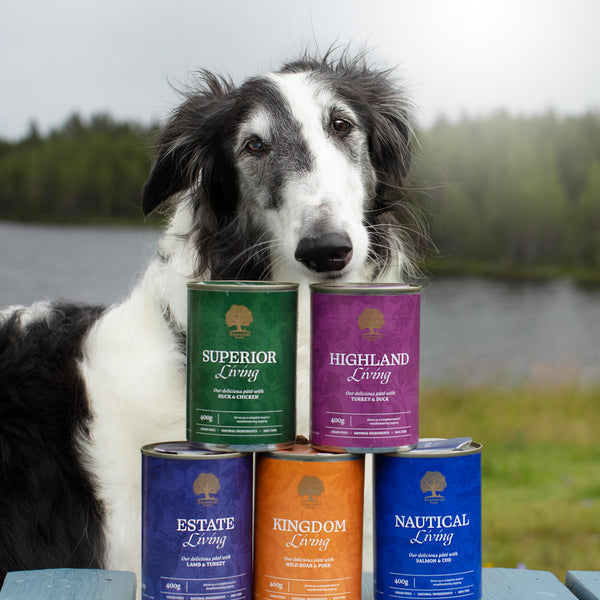 How do I choose dog food? | Essentialfoods.ie