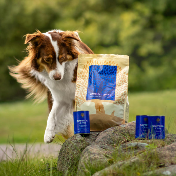 Nautical_Living___happy_aussie_riley_600x.jpg?v=1723234868
