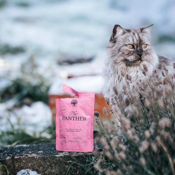 What is a cats Favourite food? | Essentialfoods.ie