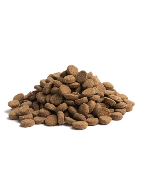 ESSENTIAL 'OLDER' 10KG SENIOR DOG FOOD | Essentialfoods.ie