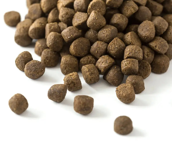 ESSENTIAL 'THE BEGINNING' LARGE BREED 10 KG PUPPY FOOD | Essentialfoods.ie